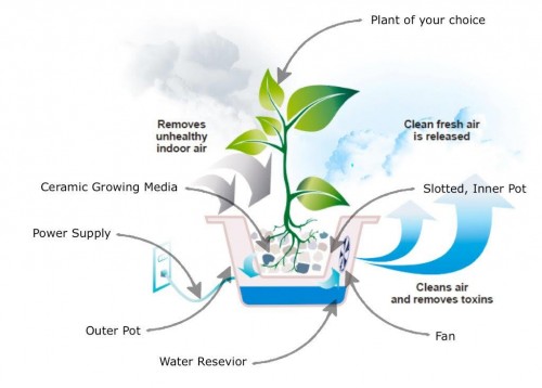 Home [www.plant-air.com]