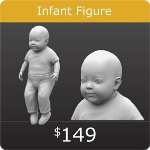 Human CAD model Store- Human models for Solidworks and more