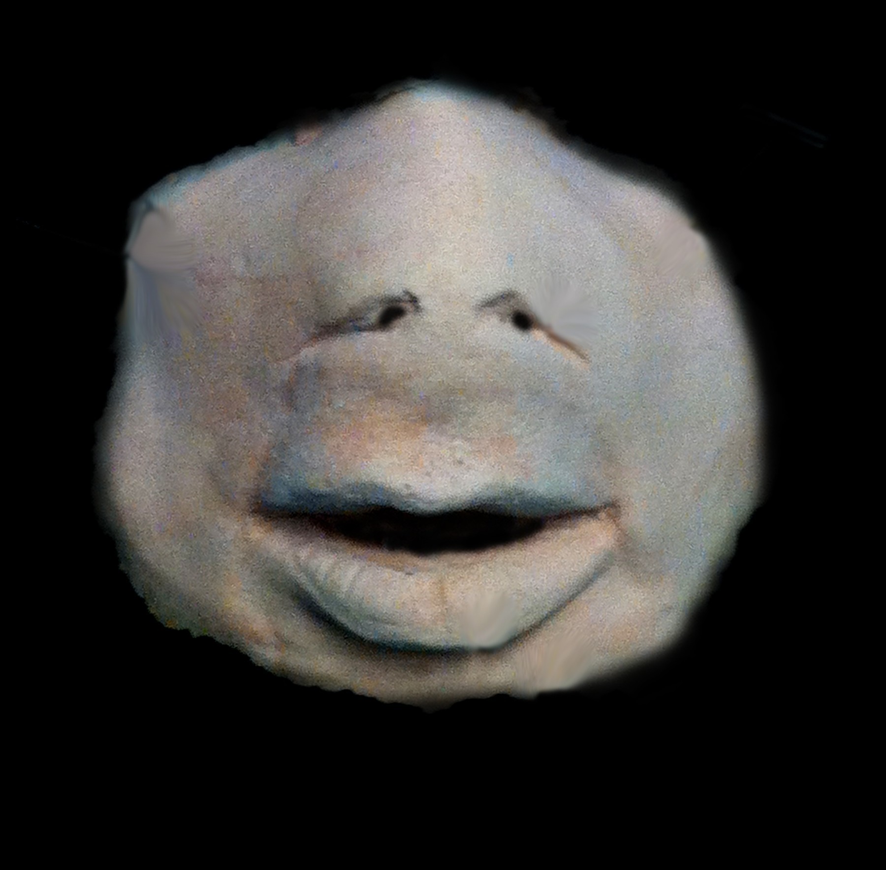 Fish Lips Prosthetic