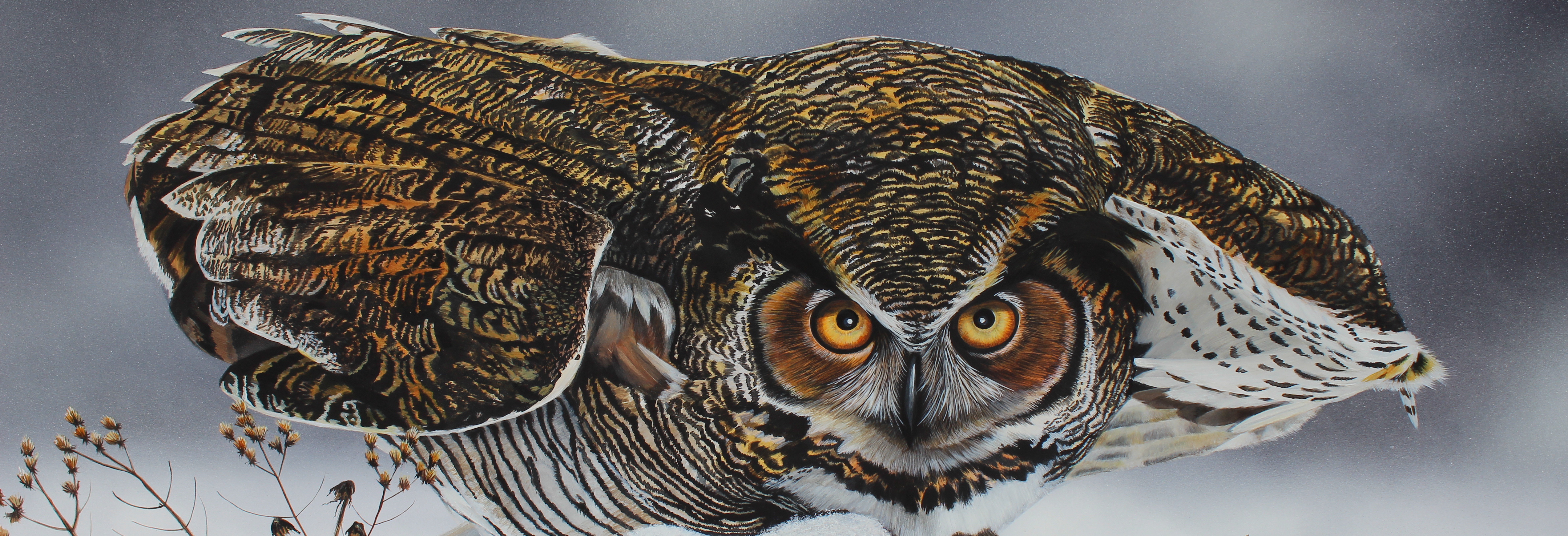 The Art Work of Nicole Ruuska Artist and Adventurer