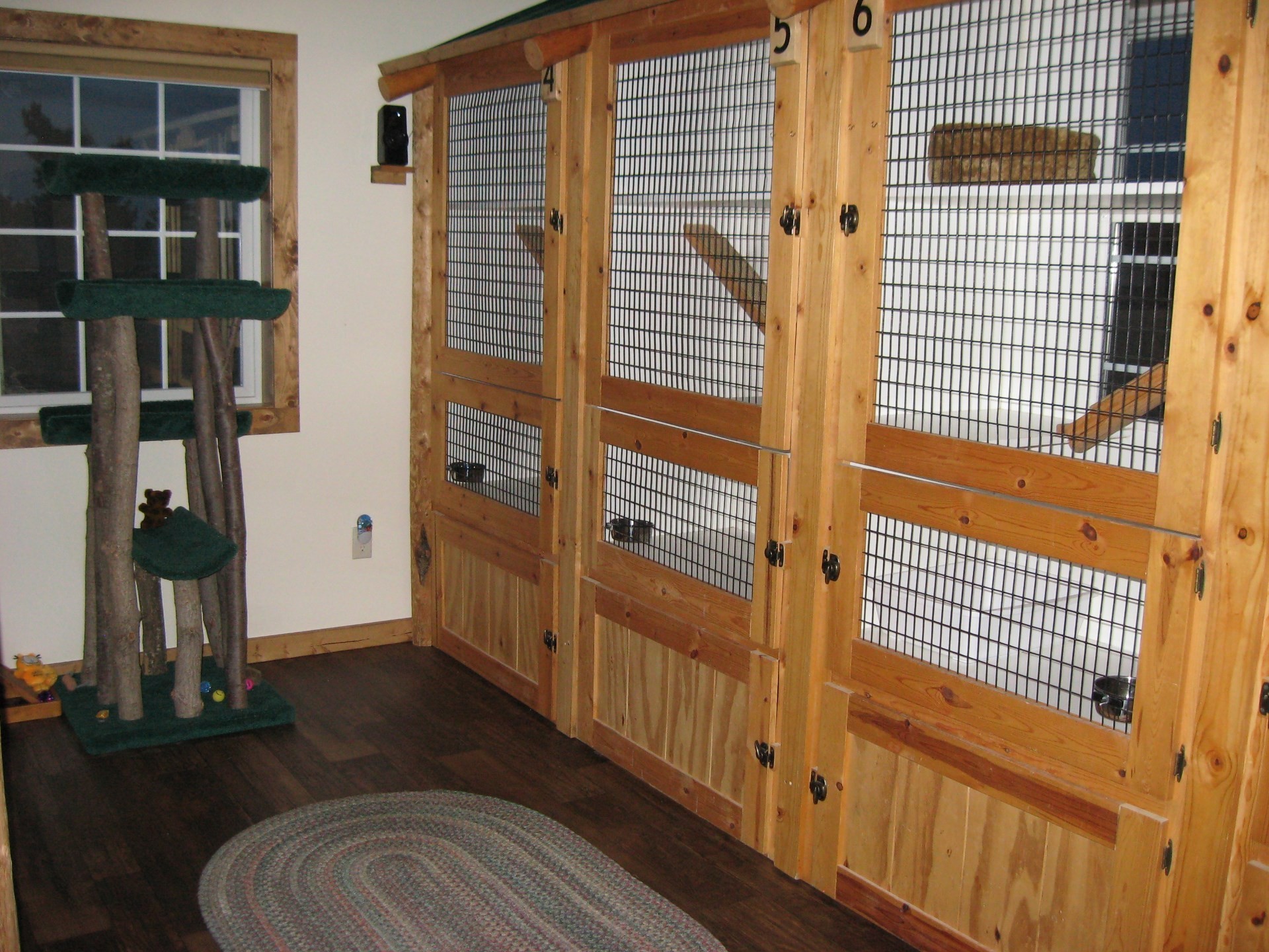 Home [www.hideoutcattery.com]