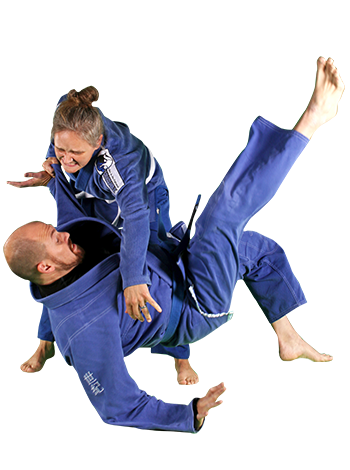 Home1 [www.anchoragedojo.com]