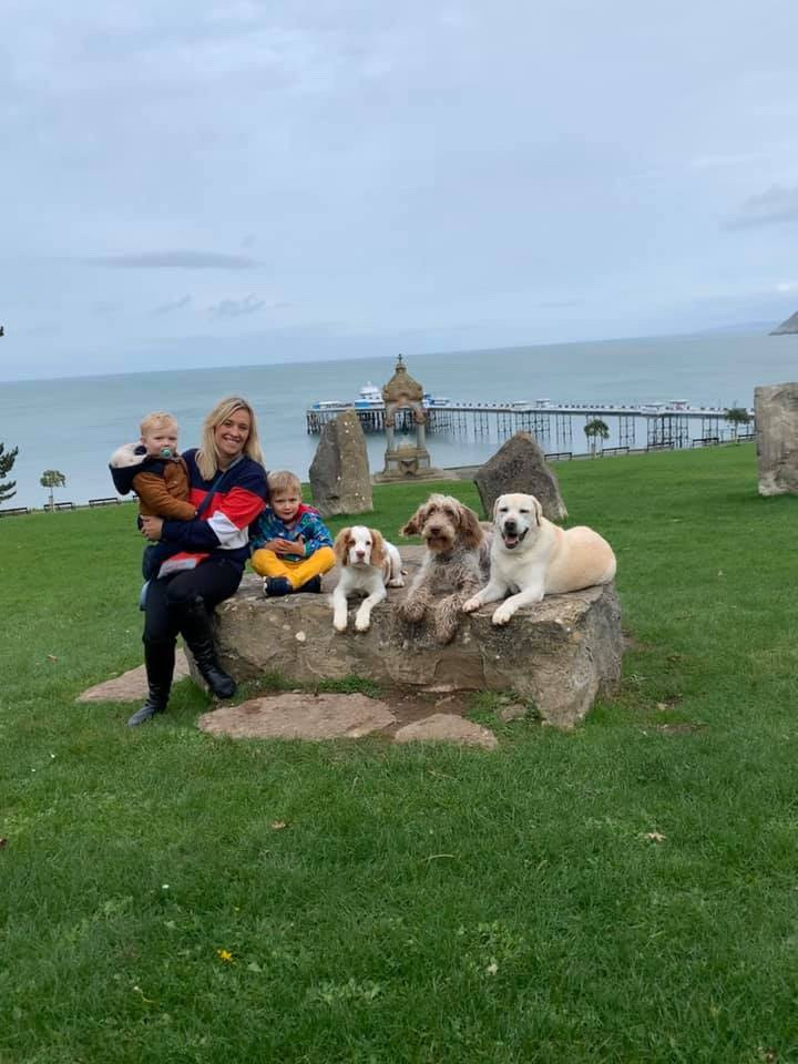 Paws Together no.2 Obedience tasks 40 day Challenge