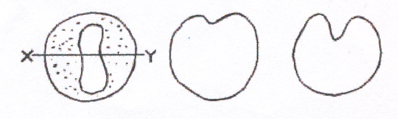 20090624223855_272672