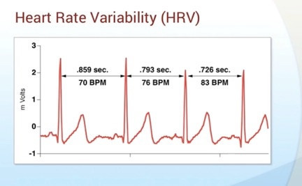 What is Heart Rate Variability (HRV) and why is it important?