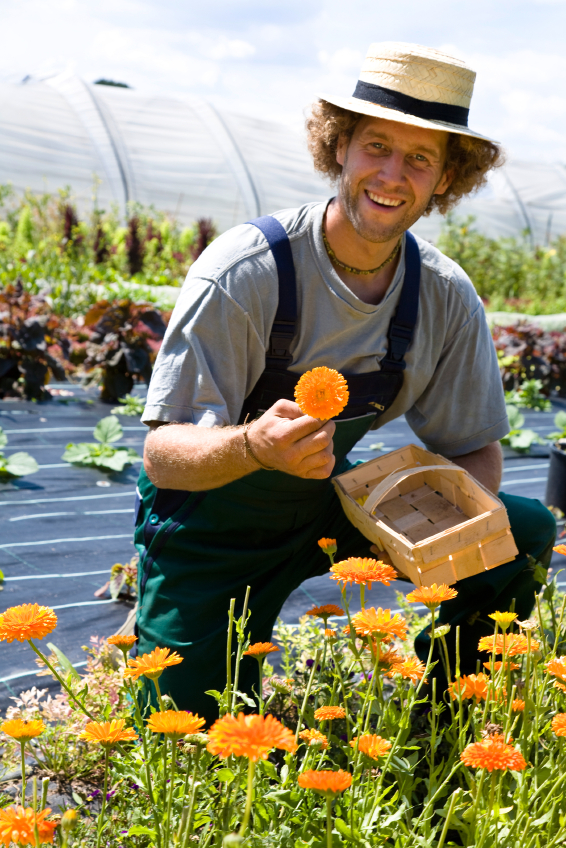 Home [www.findtrueyou.com]