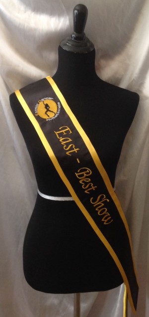 The Sash Out I Pageant Sash Gallery I Custom Sashes I Pageant Banners