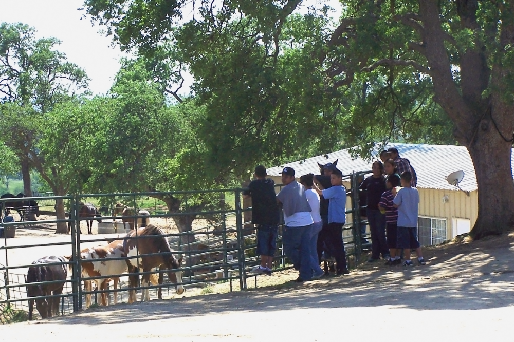 The Spanish Cruce Horse Ranch