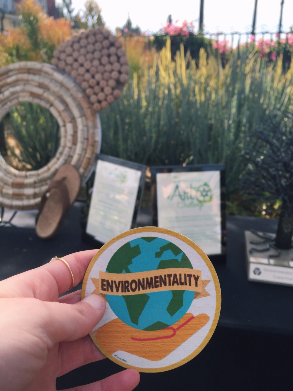 Disney Environmentality Art Challenge